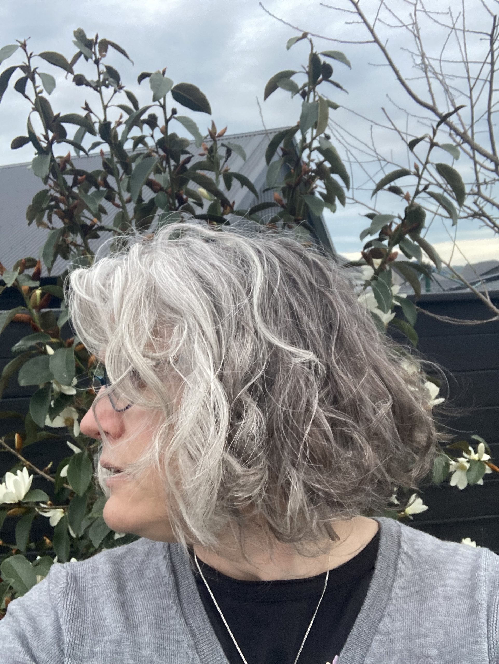 Are You Considering Ditching Dye? Meet The 'We Love Our Grey Hair ...