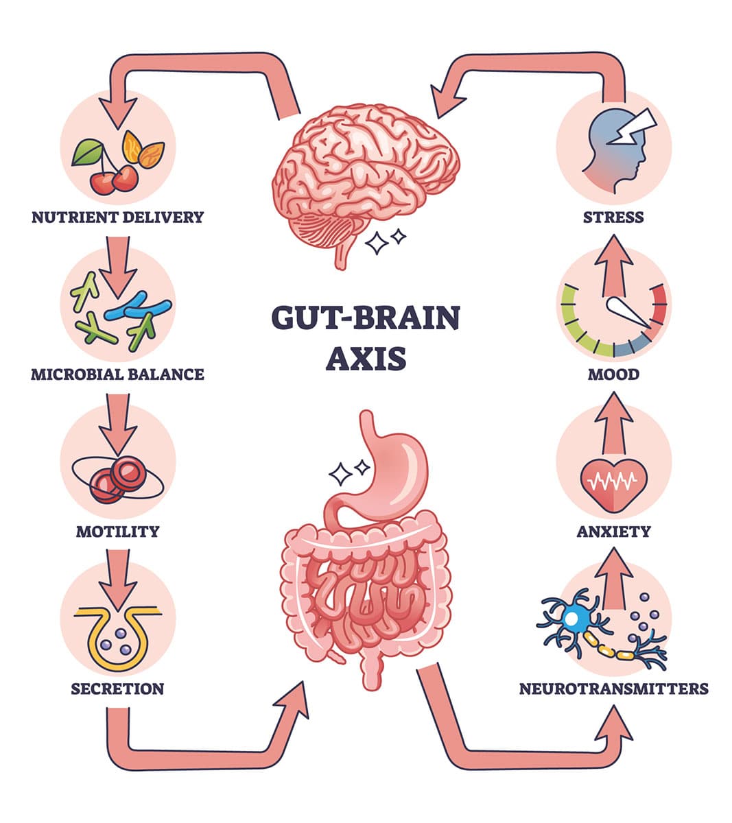 12 Signs You Need To Love Your Gut Health For A Happy Menopause - MenoMe®